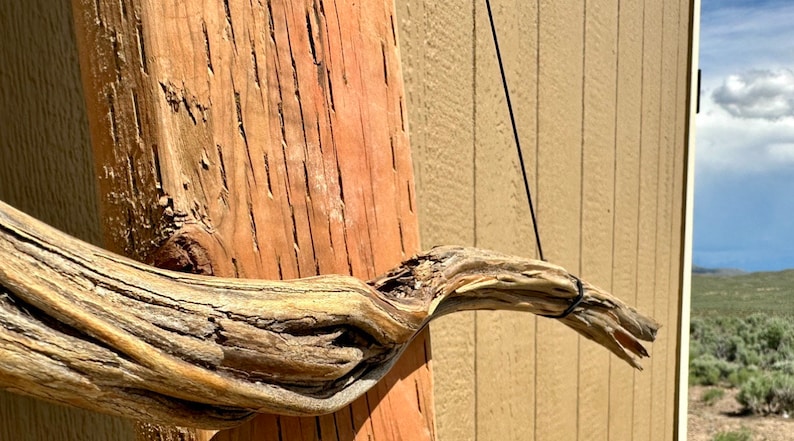 Desert Sage Branches!! 5pc 16”+ Western Decor Desert Driftwood Dry Sage ...
