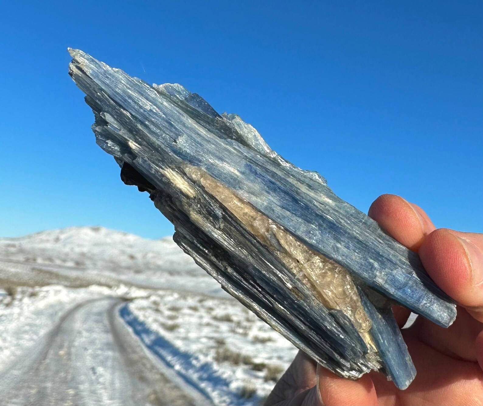 Icy Blue Kyanite With RARE Garnet!! Quartz Veins Extremely Rare ...