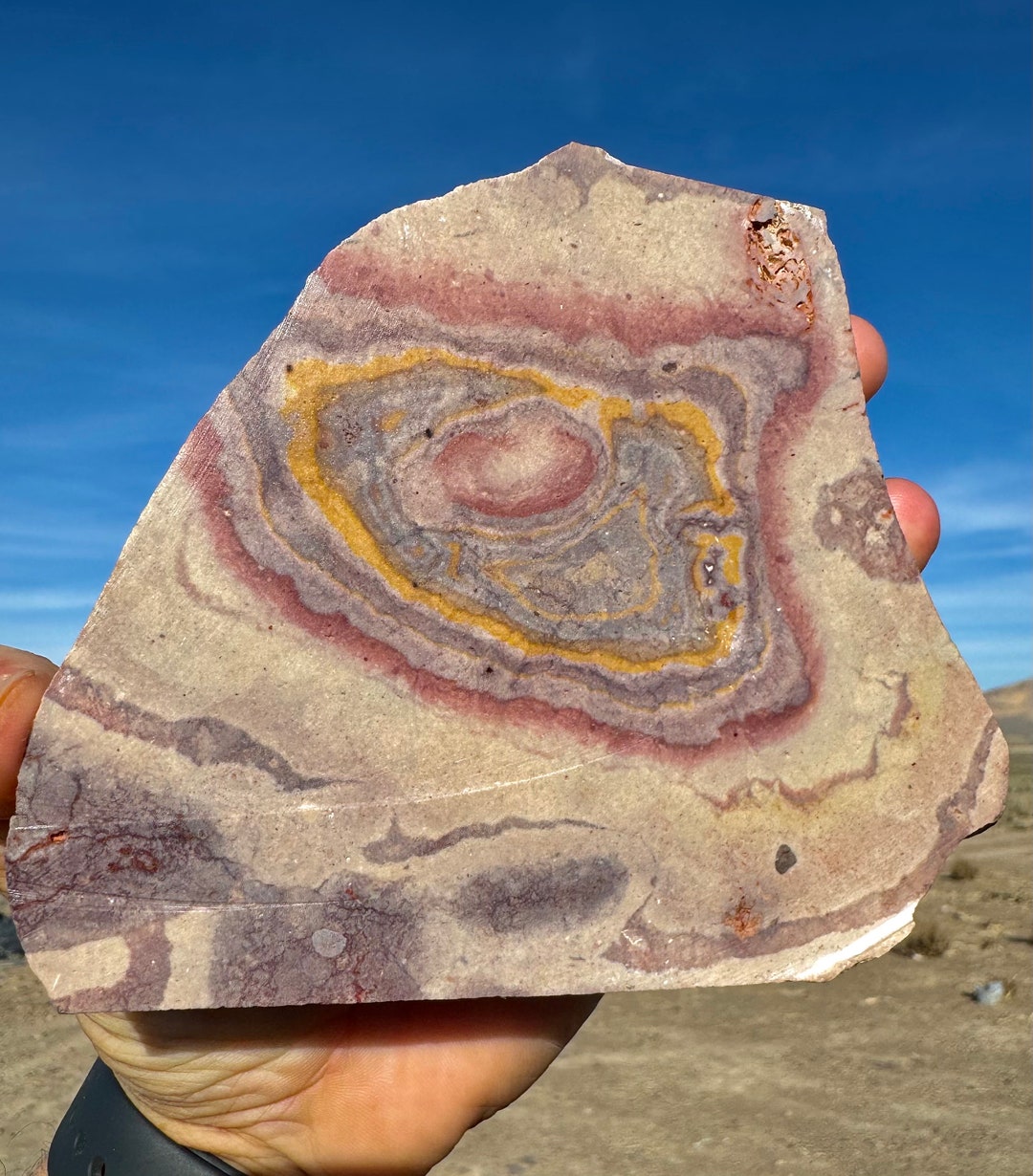 1lb+! Rhyolite Wonderstone Slab! Nevada Rhyolite Slabbed Face Perfect ...