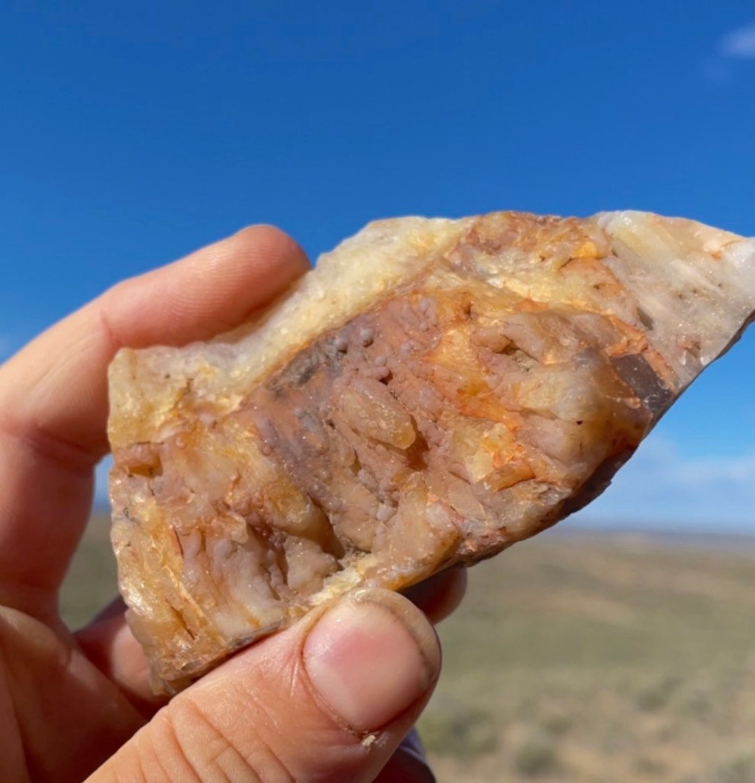 BEST! Botryoidal Petrified Wood! Chalcedony Opal Pink Blue Orange ...