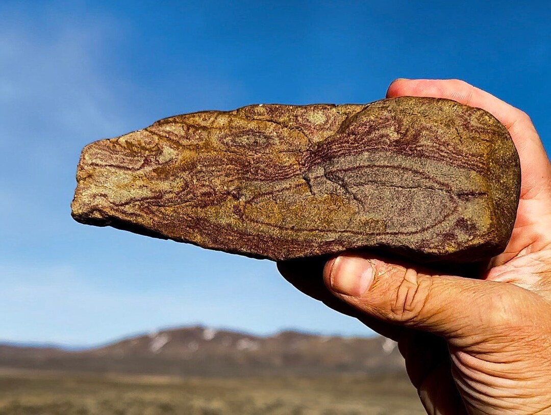 Best Patterns Wow Banded Rhyolite Wonderstone Nevada Rare Distinct ...