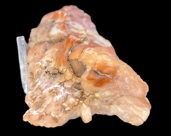 Pink Limb Cast Agate - Etsy