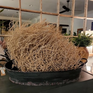 TUMBLEWEEDS for Sale! All Sizes!! XL Large Medium Small Tumbleweeds ...