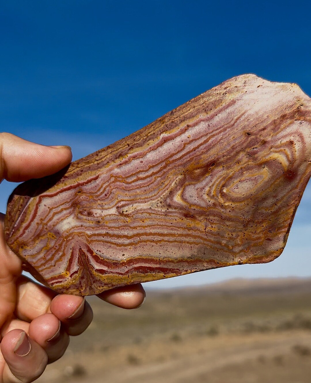 Wonderstone Rhyolite Slab! Wow Complete!! Nevada Rhyolite Slabbed Face ...