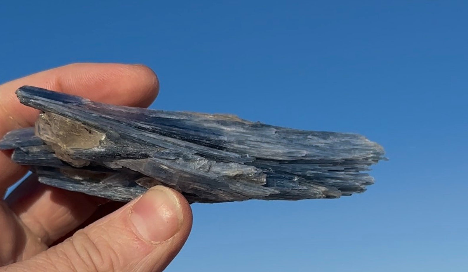 Icy Blue Kyanite With RARE Garnet!! Quartz Veins Extremely Rare ...