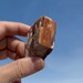 Pink Limb Cast Petrified Wood! Highly Agatized Opalized Wood Incredibly ...