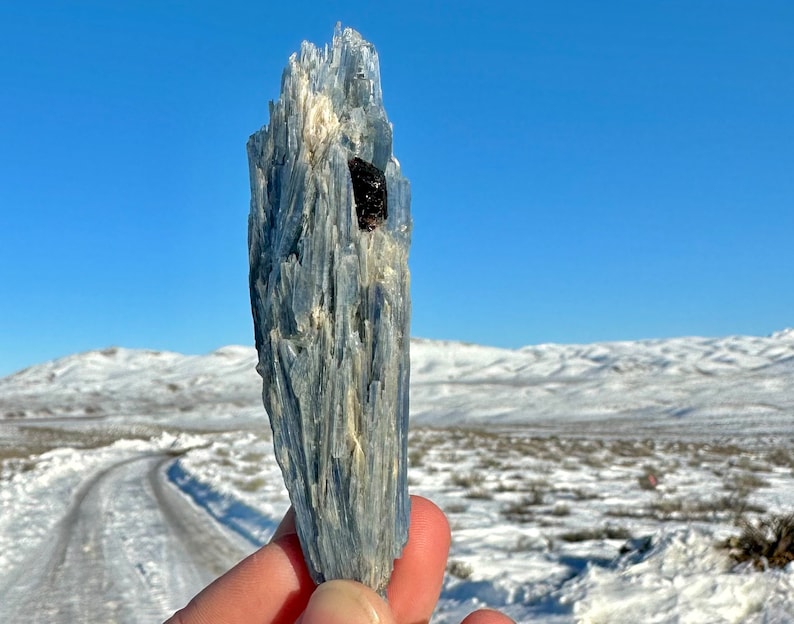 Icy Blue Kyanite With RARE Garnet!! Quartz Veins Extremely Rare ...