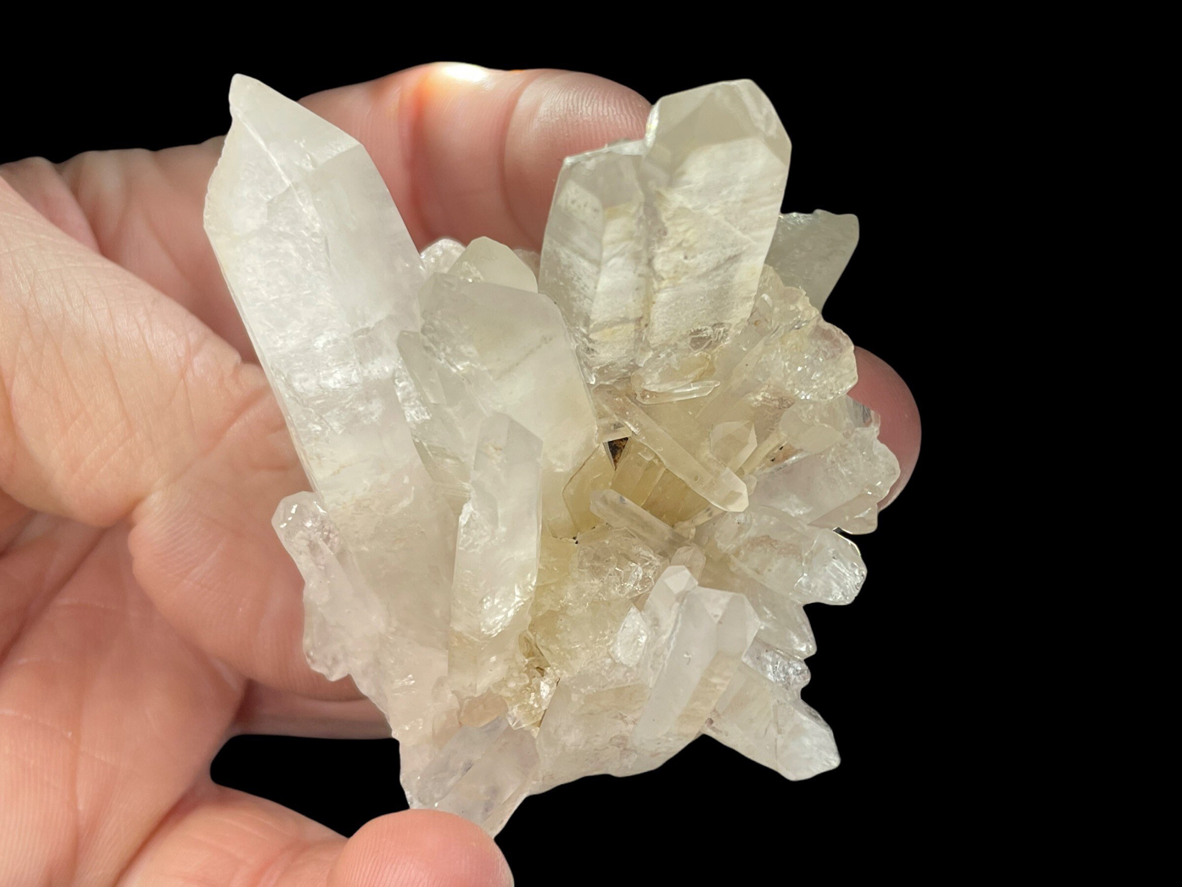 Quartz Crystal Cluster Perfect Points Undamaged Mineral - Etsy