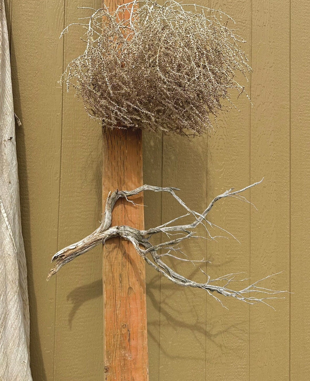 Desert Sage Branches!! 5pc 16”+ Western Decor Desert Driftwood Dry Sage ...