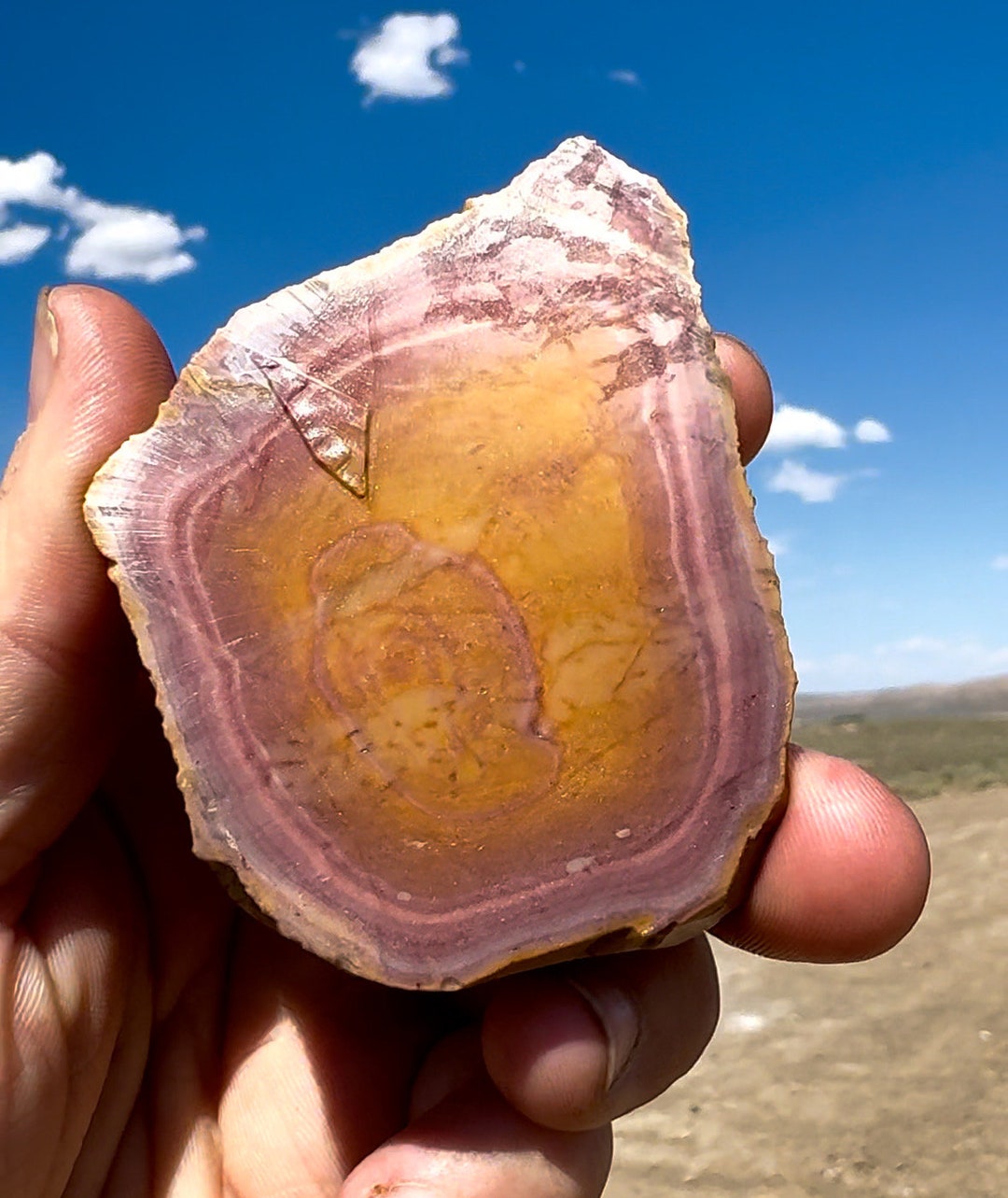 Wow Rare Wonderstone Rhyolite Slab Medium Size Heavy Incredible Colors ...