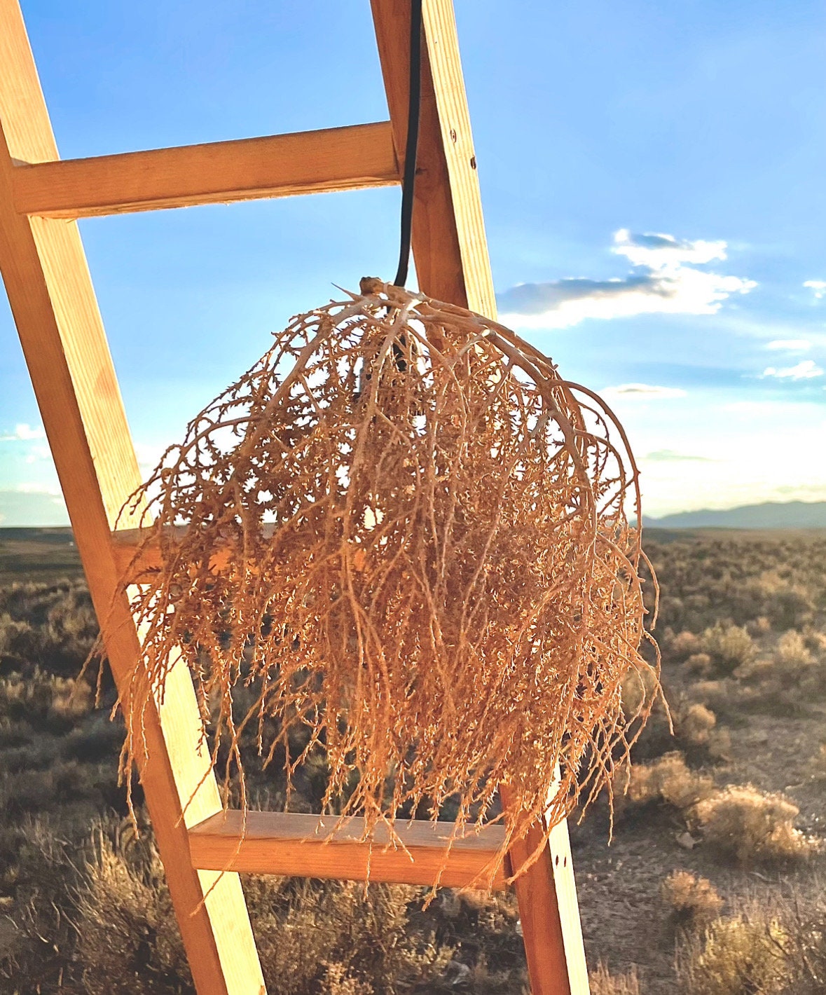 Cute! MINI Tumbleweed Chandelier the Original “tumblier” Beautiful Hand ...