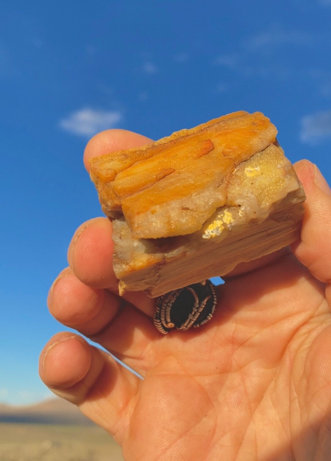 Melting Petrified Wood Bots Chalcedony Opal Pink Blue Yellow - Etsy