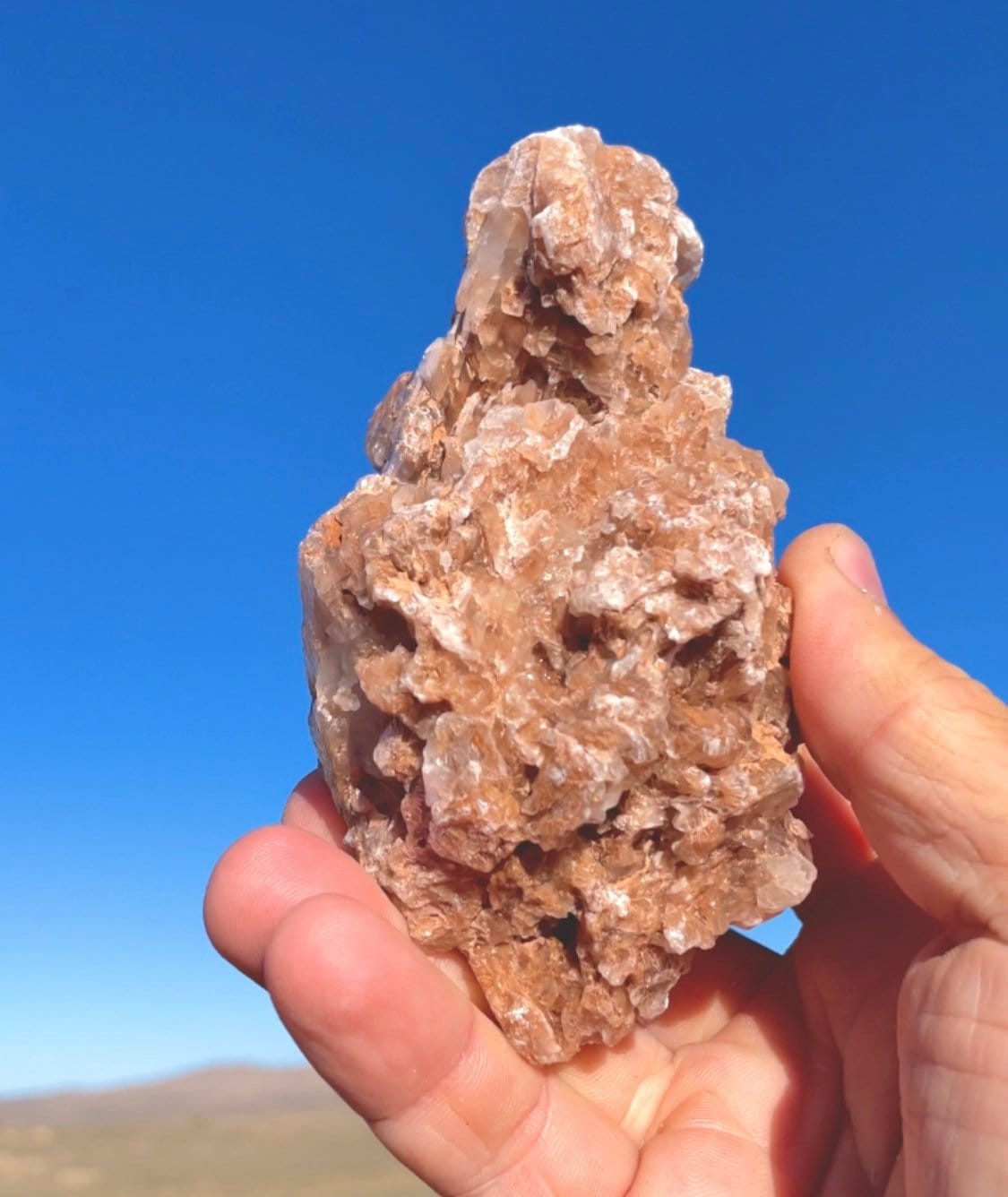 Complete Gypsum Desert Crystal Cluster Large Size Museum - Etsy