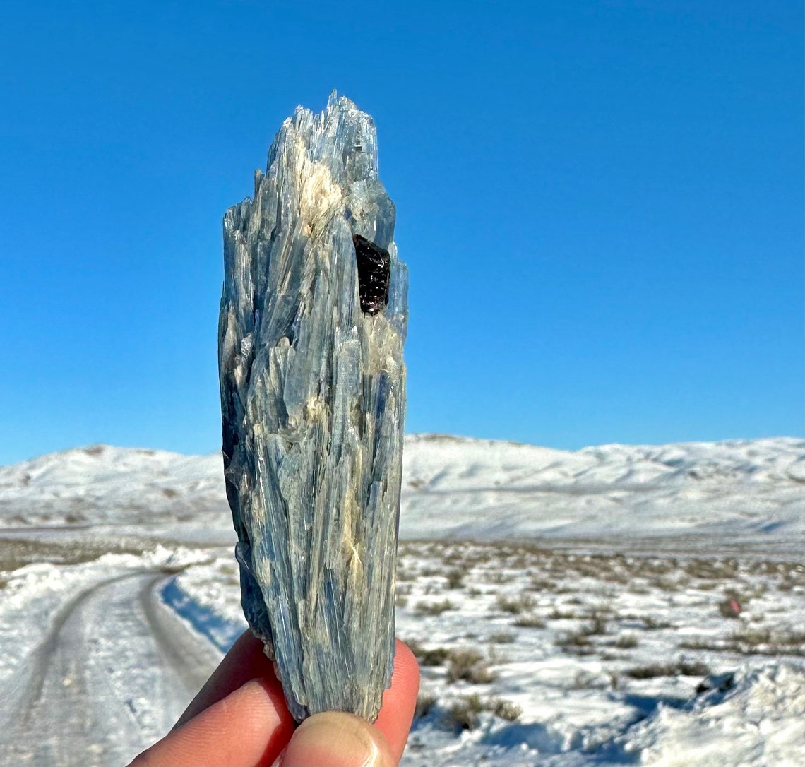 Icy Blue Kyanite With RARE Garnet!! Quartz Veins Extremely Rare ...