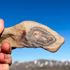 Wonderstone Nevada Rhyolite Rare Stunning Patterns! Best Lapidary ...