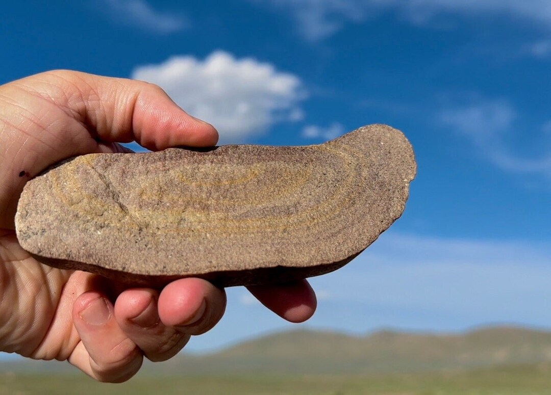 Banded Iron Rhyolite Wonderstone Nevada Rare Stunning Distinct Patterns ...