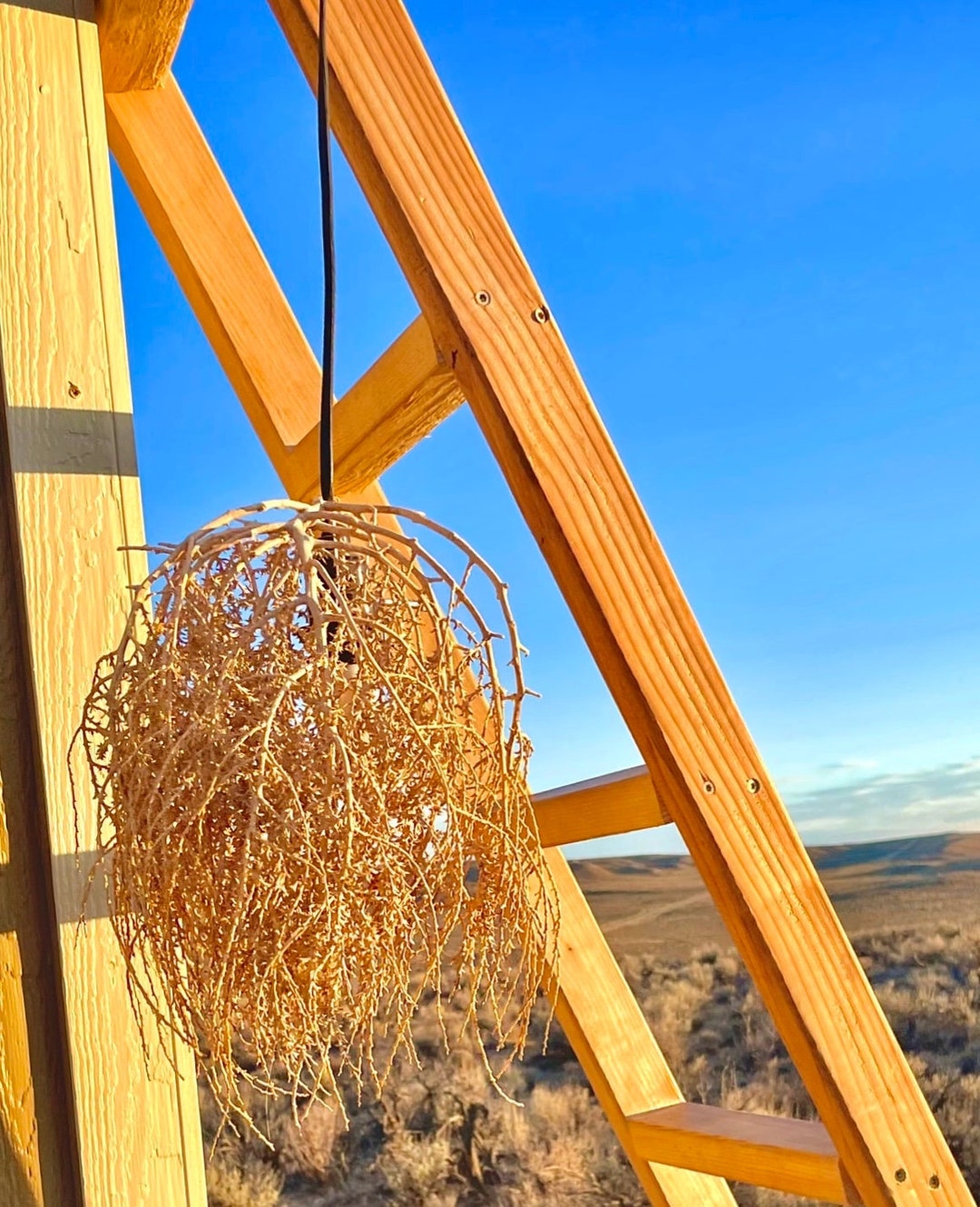 Cute Mini Tumbleweed Chandelier tumblier Full Beautiful Hand Foraged 9 ...