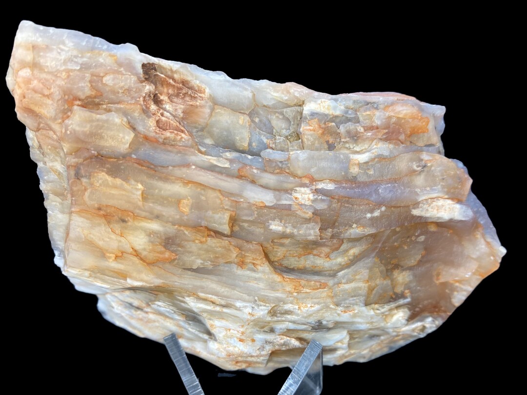 Rare! Pink Blue Petrified Wood!! Wow! Completely Silicated Agatized ...