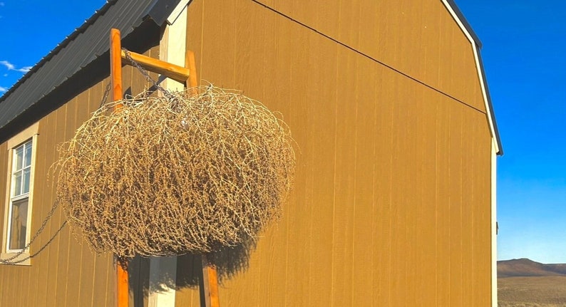 Massive!! the ORIGINAL “tumblier” Tumbleweed Chandelier! USA! Huge ...