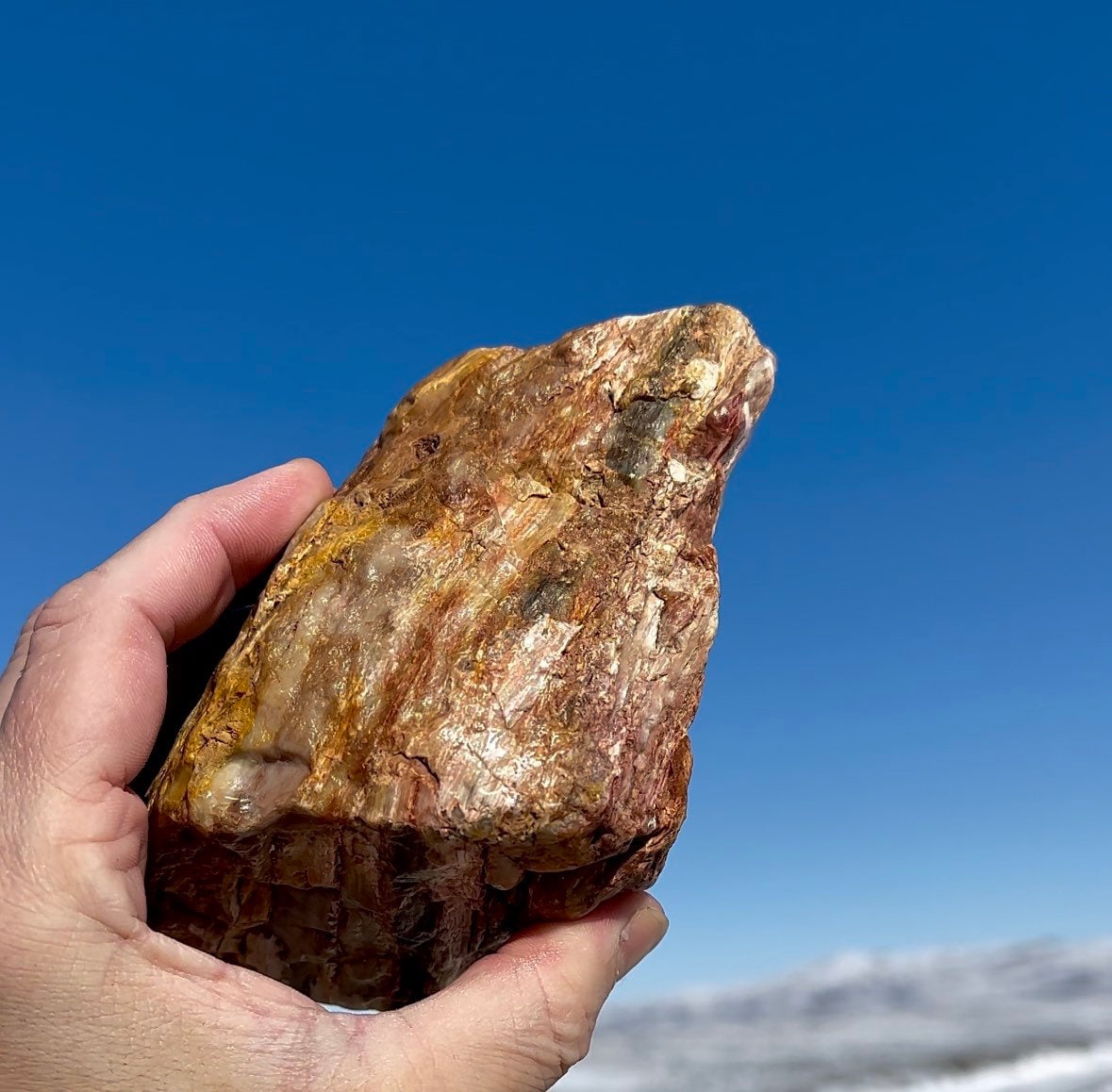 2.75lbs! Huge Rare Picture Jasper Red Jasper Lapidary Special Largest ...