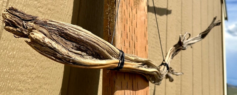 Desert Sage Branches!! 5pc 16”+ Western Decor Desert Driftwood Dry Sage ...
