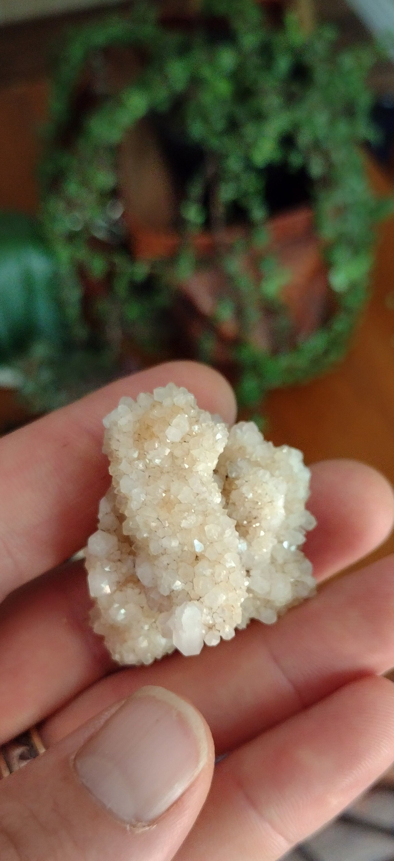 Citrine and Milky Quartz Pseudomorph After Barite sams Pocket, Ouray ...