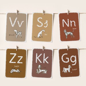 ABC Flashcards, Animal Alphabet Flash Cards Printable, Boho Alphabet ...