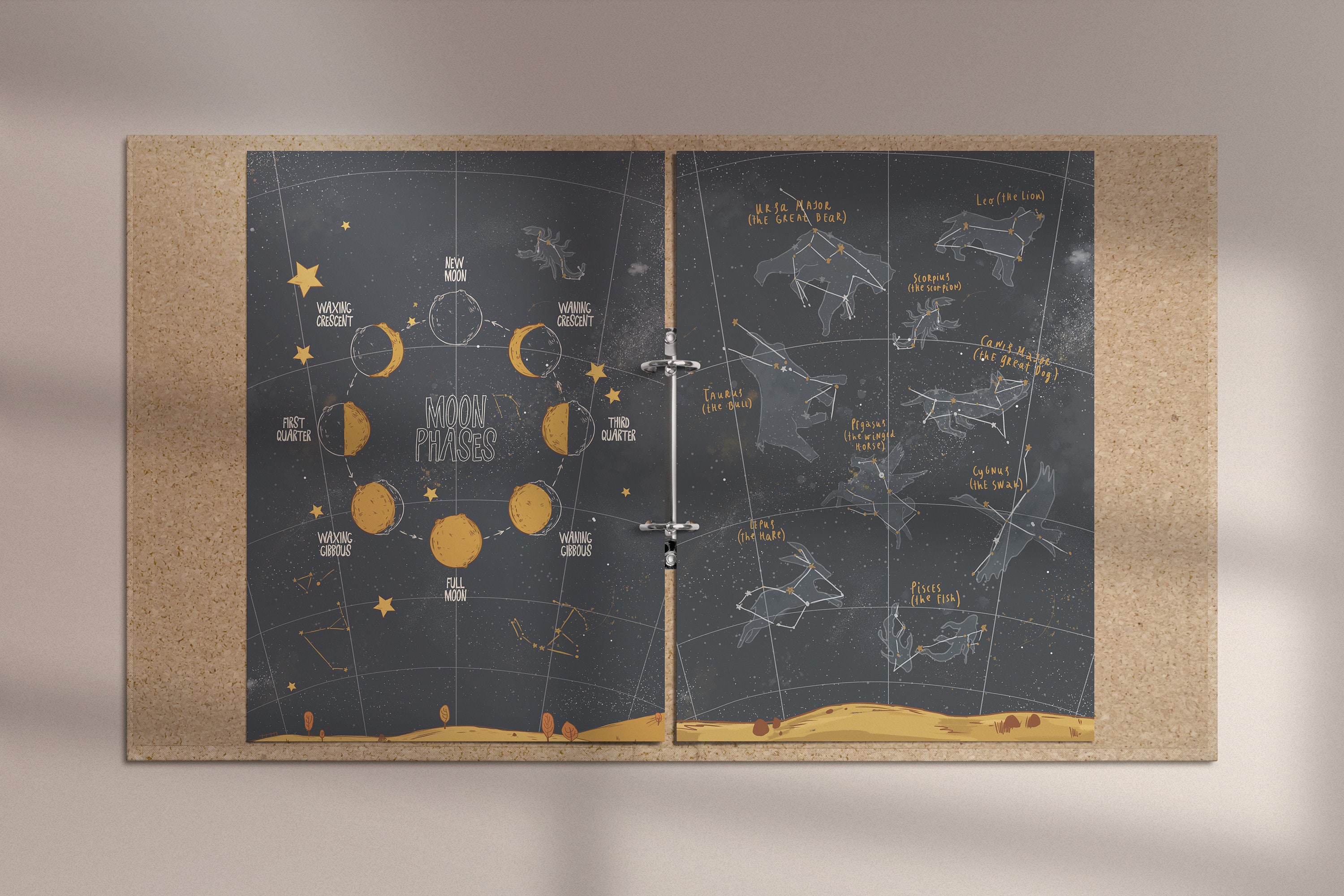 Moon Phases Poster Illustration Poster Solar System - Etsy