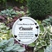 Cousin Memorial Stake - Plaque, Outdoor Grave Marker, Personalised ...