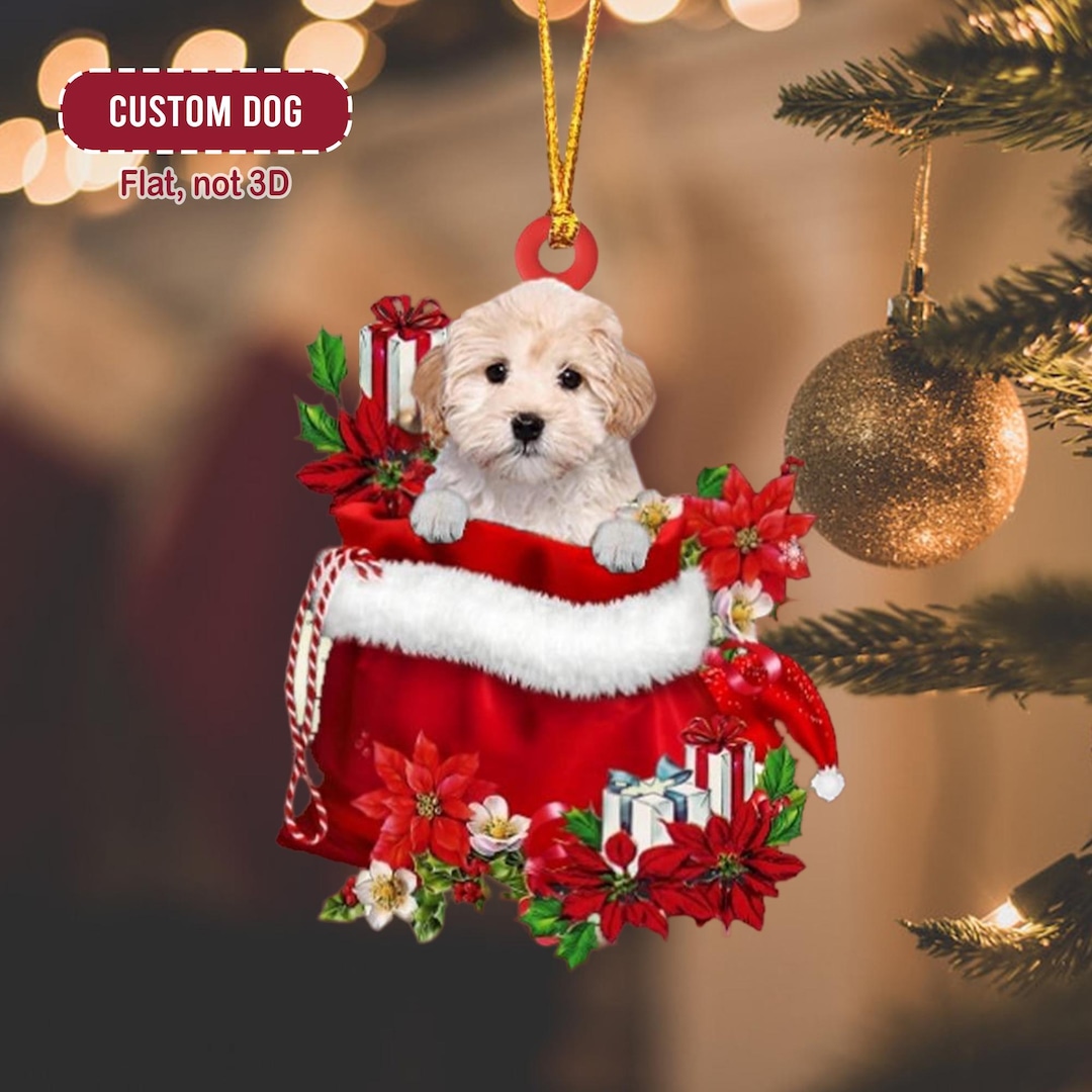 Maltipoo in Xmas Gift Bag Christmas Ornament, Christmas Gift for Dog ...