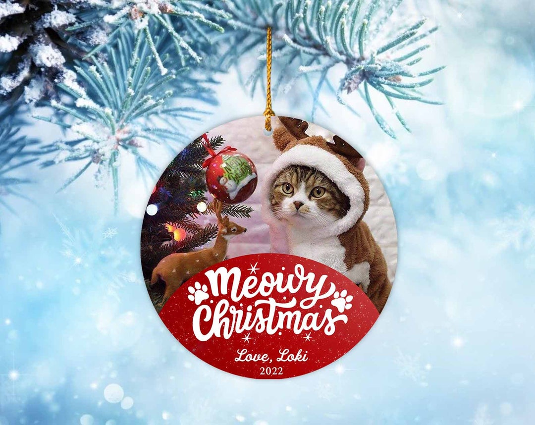 Custom Cat Christmas Ornament Personalized Cat Gift Cat - Etsy