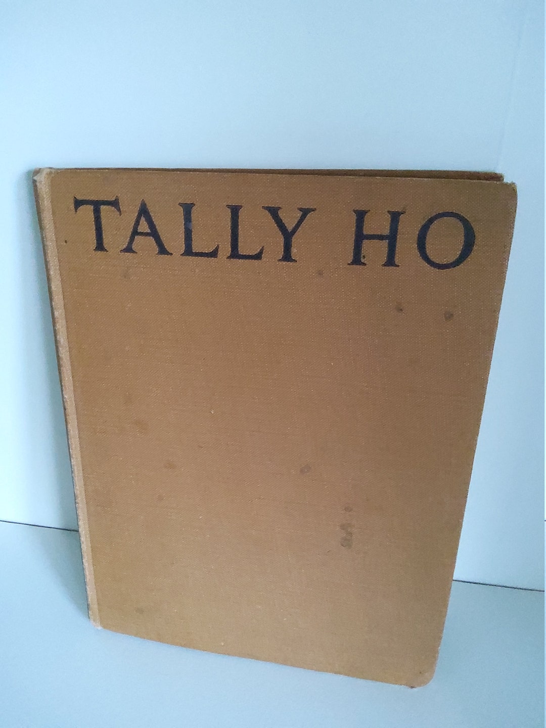 Tally Ho : the Story of an Irish Hunter by Moyra Charlton - Etsy