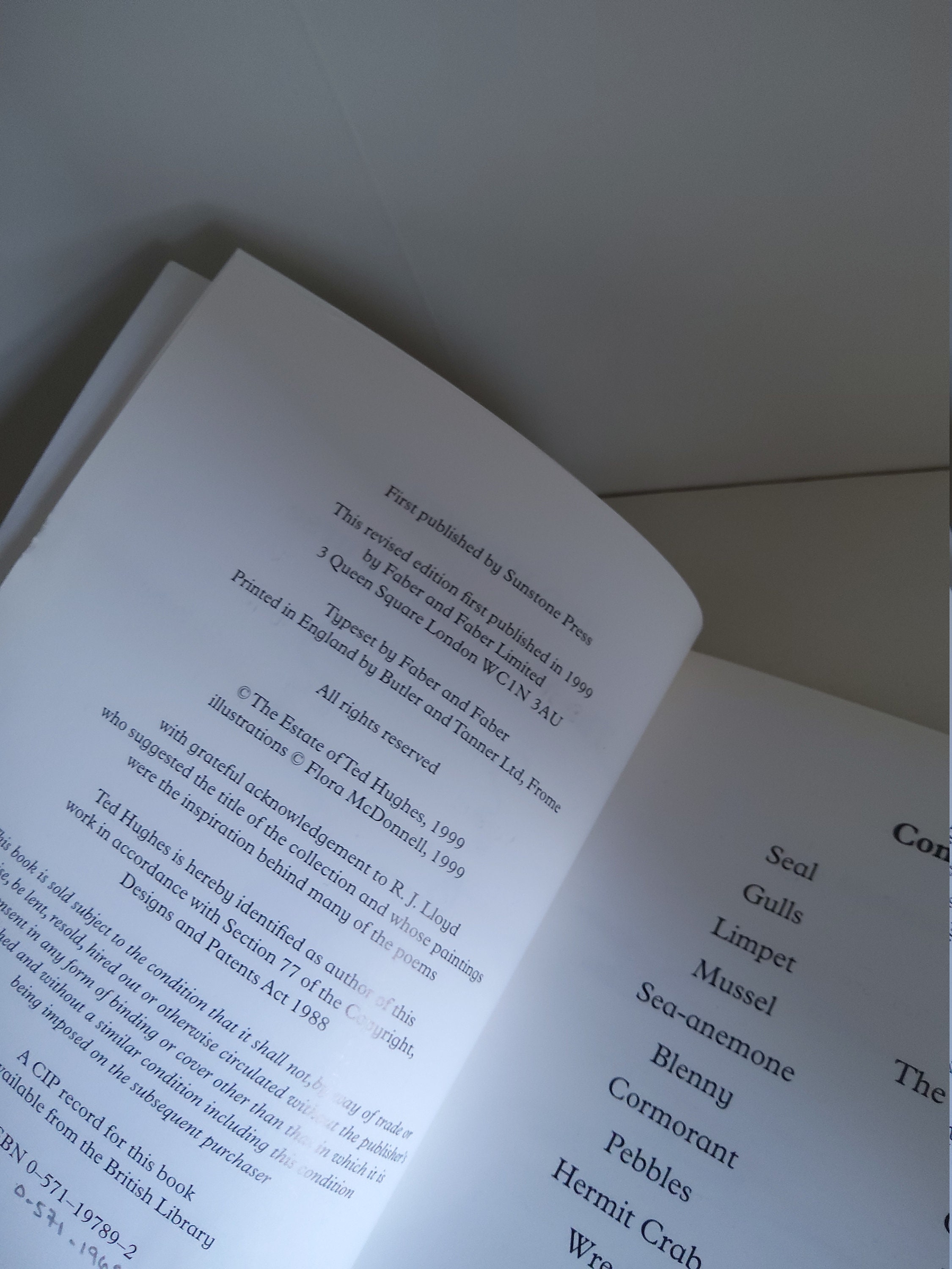 The Mermaid's Purse Poems by Ted Hughes - Etsy