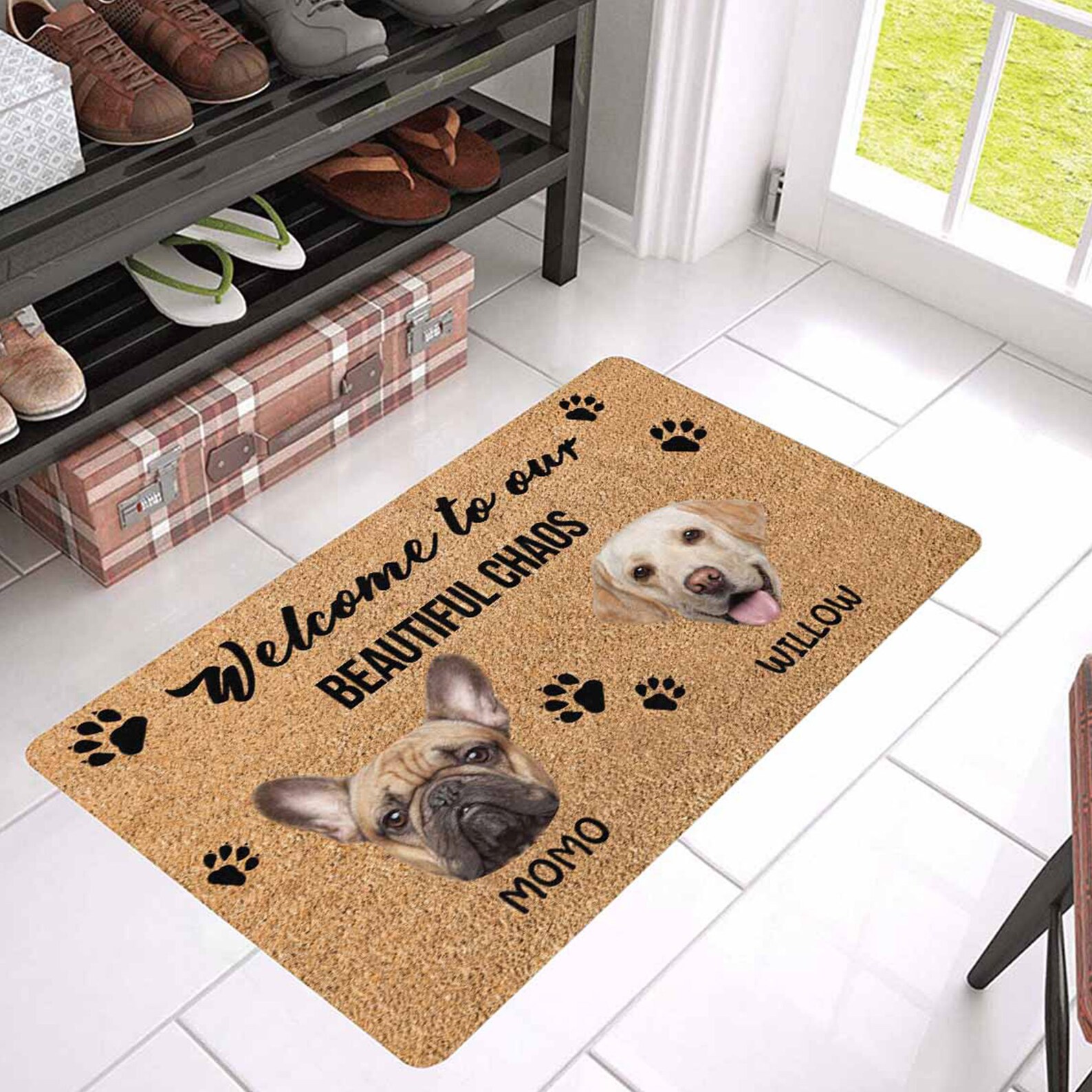 19 Droll Dog Photography Names Photo 8K Uk bleumoonproductions