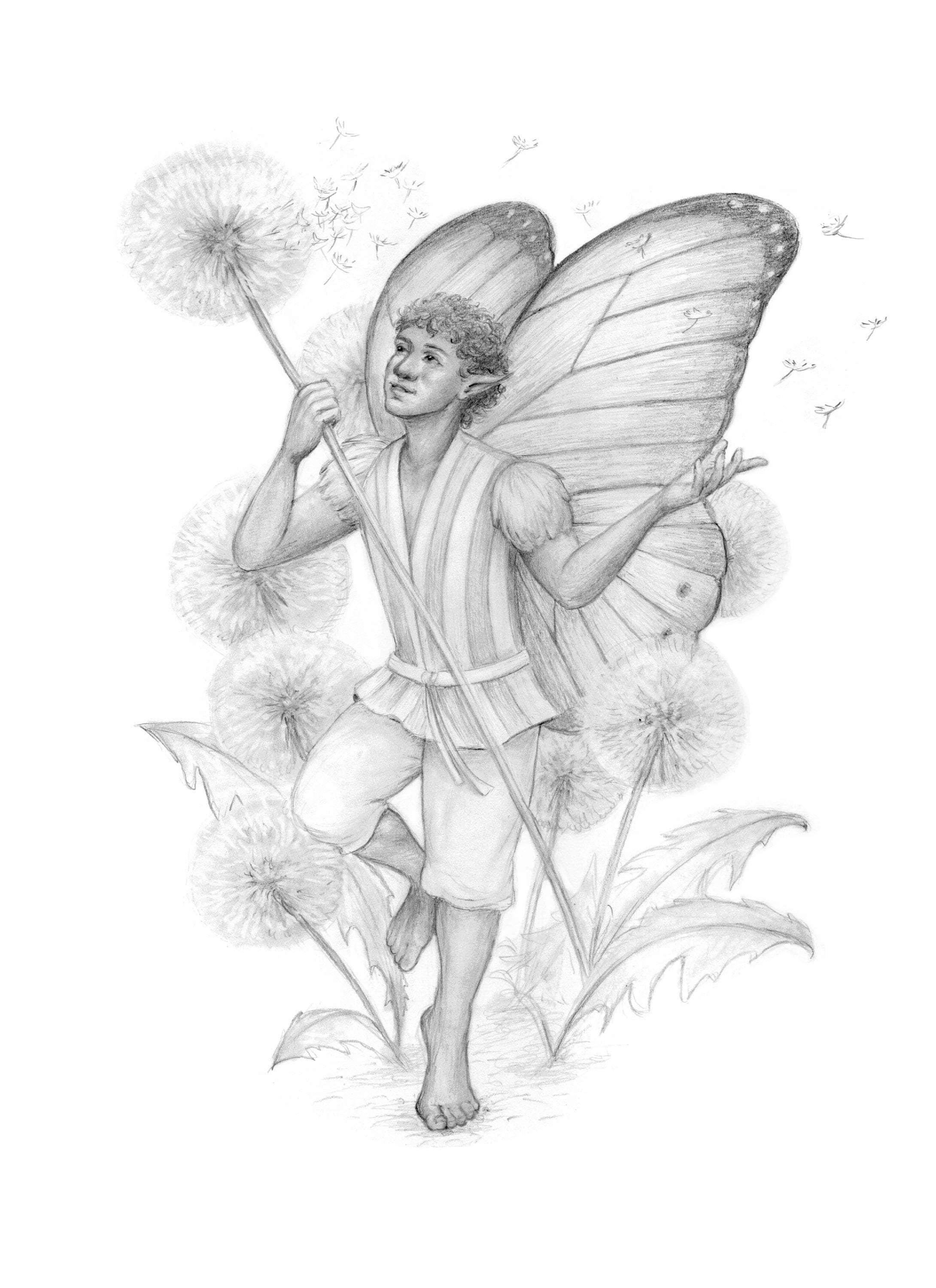 Male Fairy Drawing Pencil Sketches
