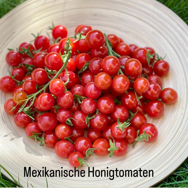 Tomaten in süße - Etsy.de