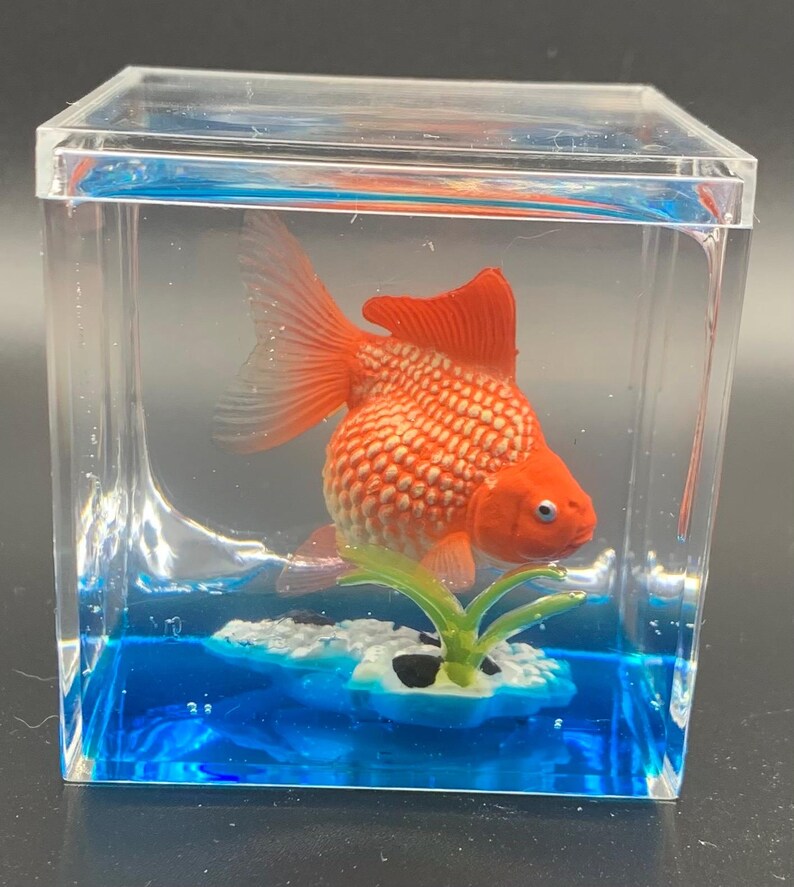 My Forever Pet Goldfish in Plastic Mini Tank / See Item Details - Etsy