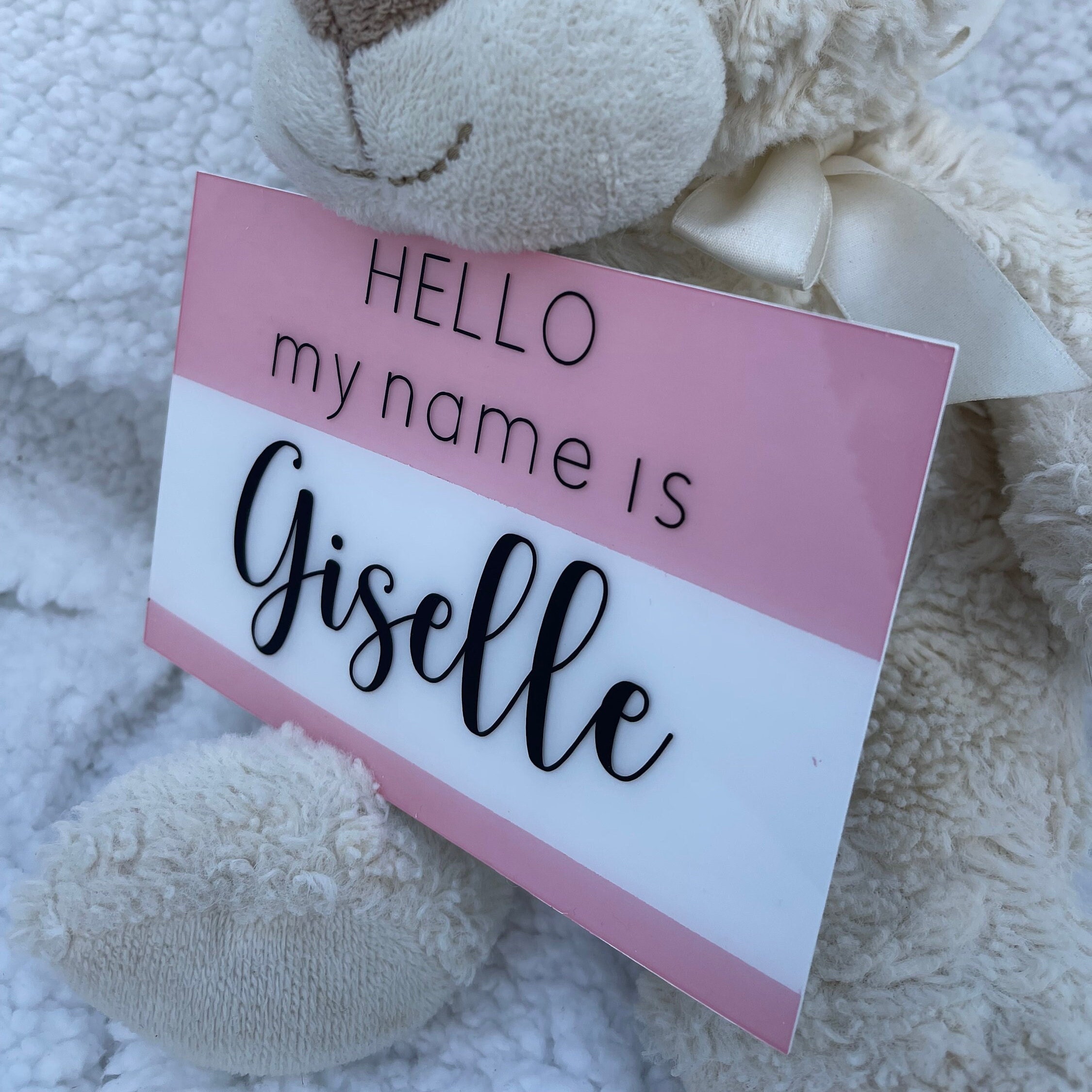 Hello My Name is Sign Custom Painted Baby Name Sign Customized Sign ...