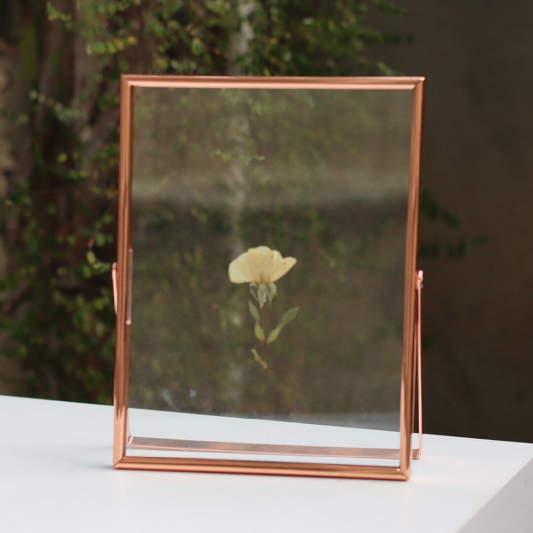 Rose Golden Floating Frames, Double Sided Frame, Glass Frame for ...