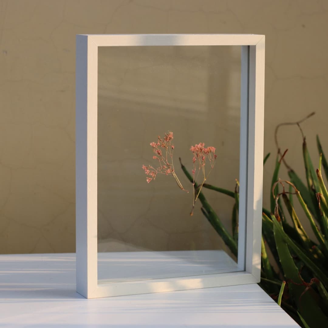 White Floating Frame, Double Sided Frame, Glass Frame for Pressed ...