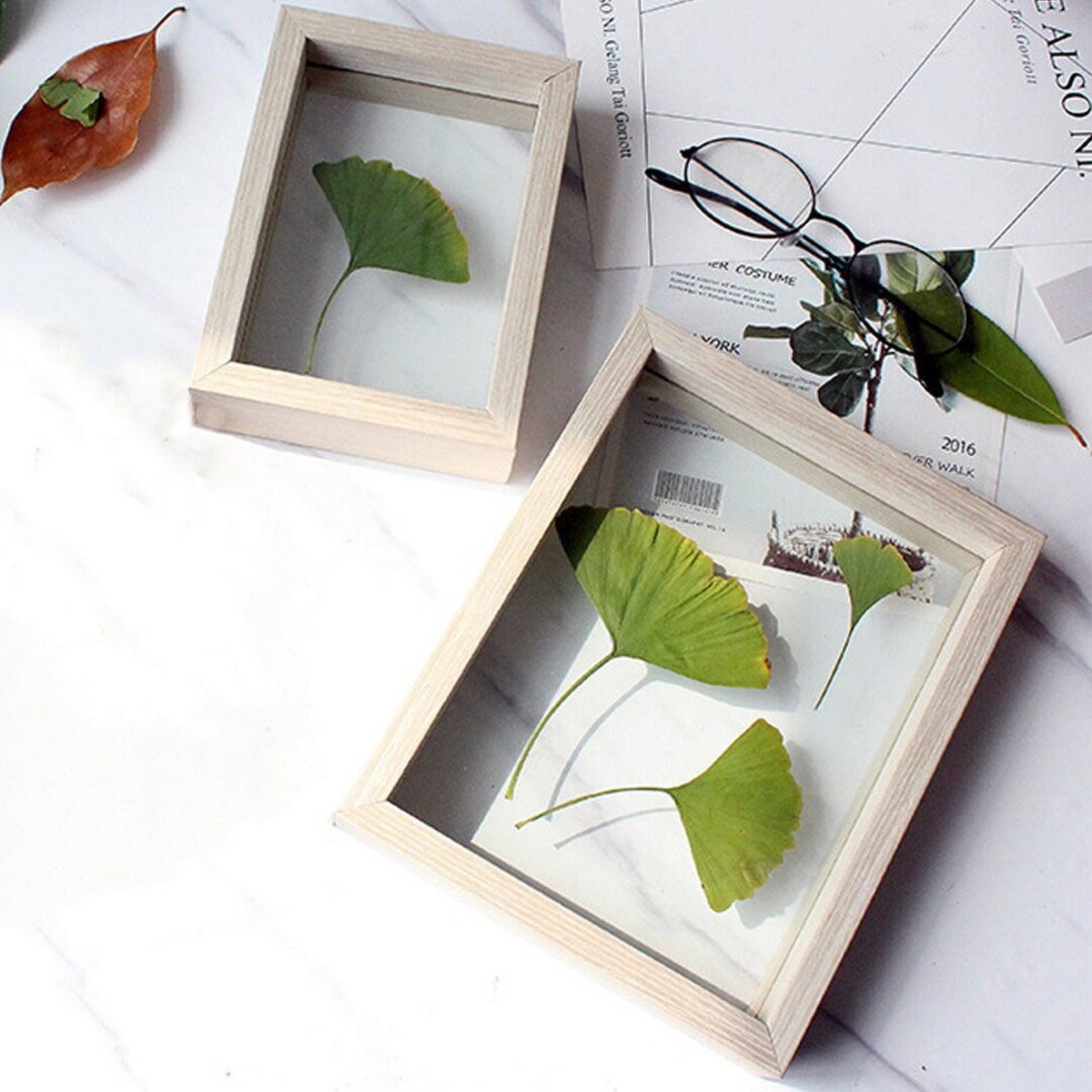 Beige Veneer Floating Frame, Double Side Frame, Glass Frame for Pressed ...