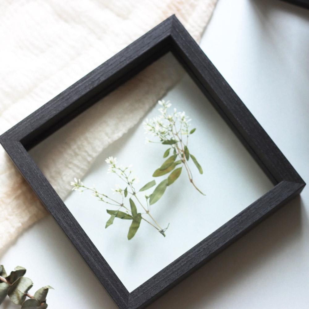 Black Veneer Floating Picture Frame: Double Sided Glass, Pressed Flower ...