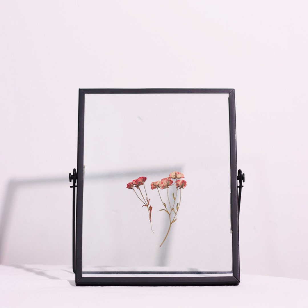 Matte Black Double Glass Floating Frame, Pressed Flower Frames for ...