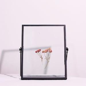 Matte Black Double Glass Floating Frame, Pressed Flower Frames for ...