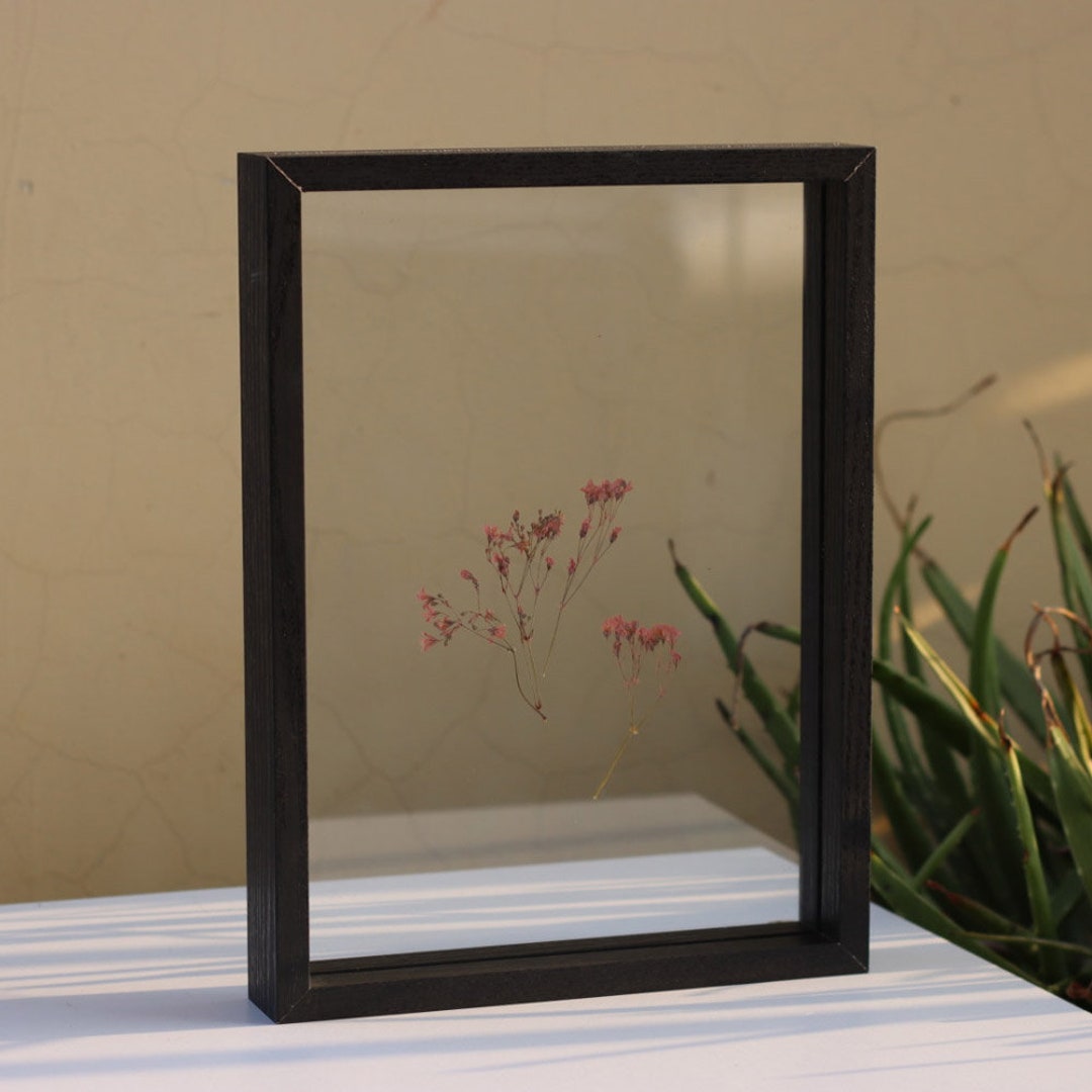 Double glass frame store