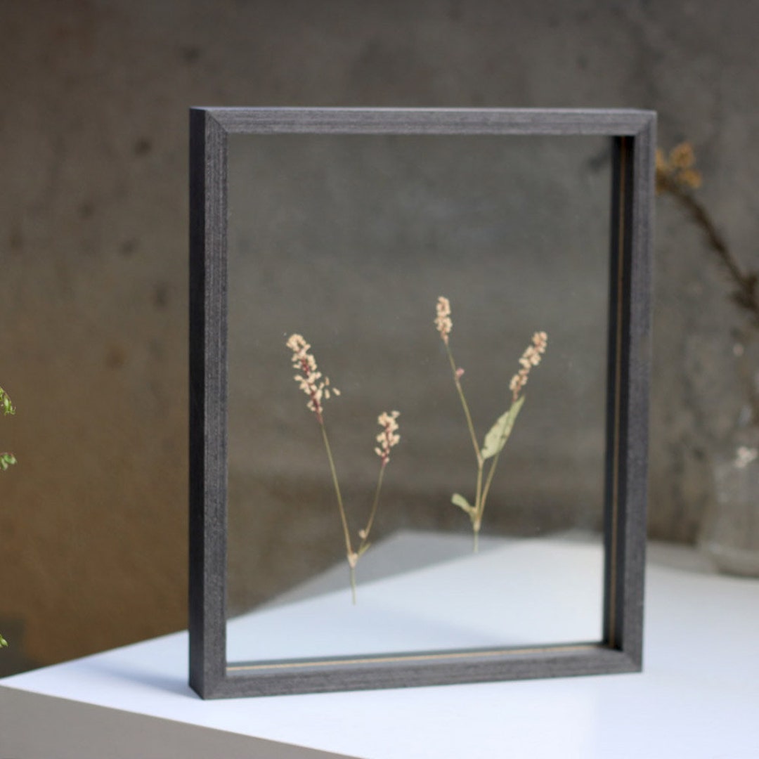 Large Floating Frame in Black Veneer, Double Sided Frame, Glass Frame ...
