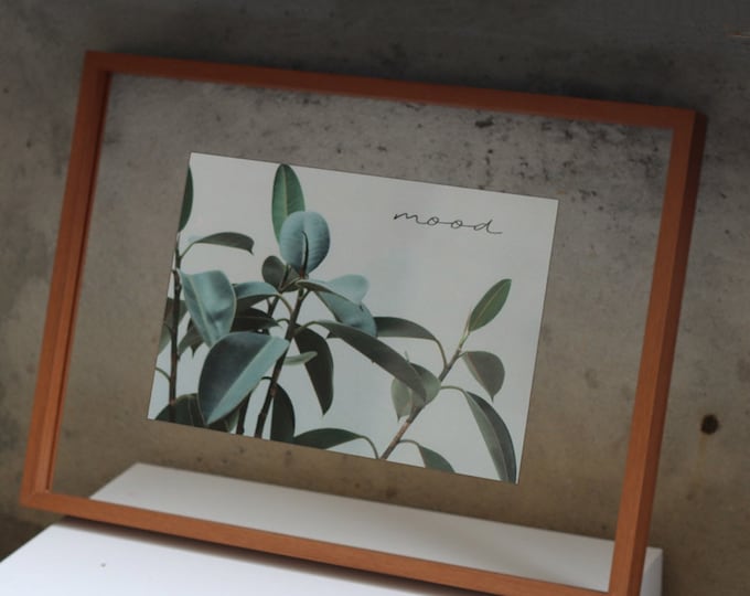 Custom Large Floating Frame in Teak Veneer, Pressed Flower Frames ...