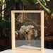 Pinewood Floating Frame in Birch Veneer, Double Sided Frame, Glass ...
