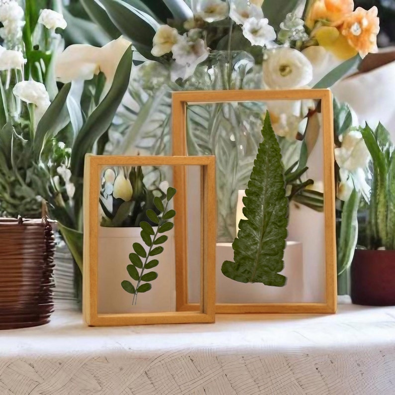 Teak Floating Frame, Double Sided, for Photos, Certificates, Flowers ...