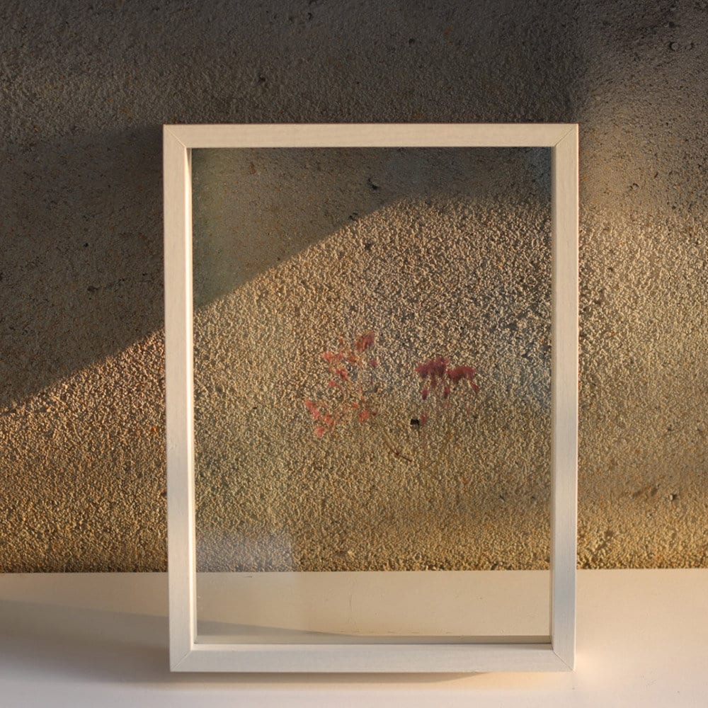 White Floating Frame, Double Sided Glass, Frame for Pressed Flower ...